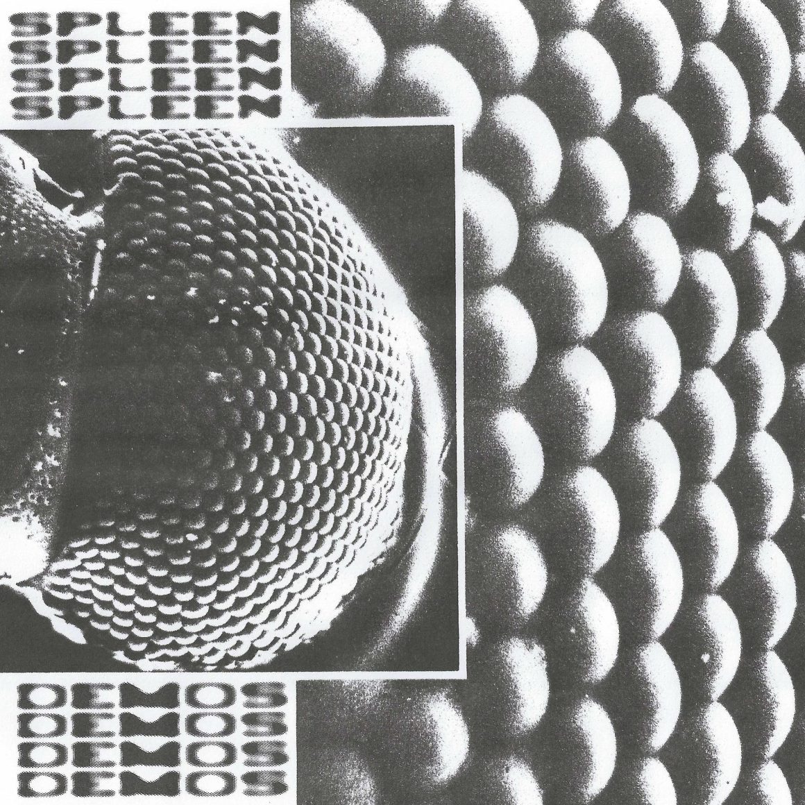 Montreal's Spleen to Release Collection of Psychedelic, Oi, and Post ...
